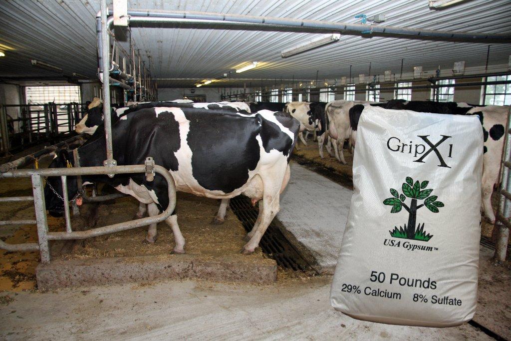 Gypsum Dairy Bedding & Barn Dry - USA Gypsum